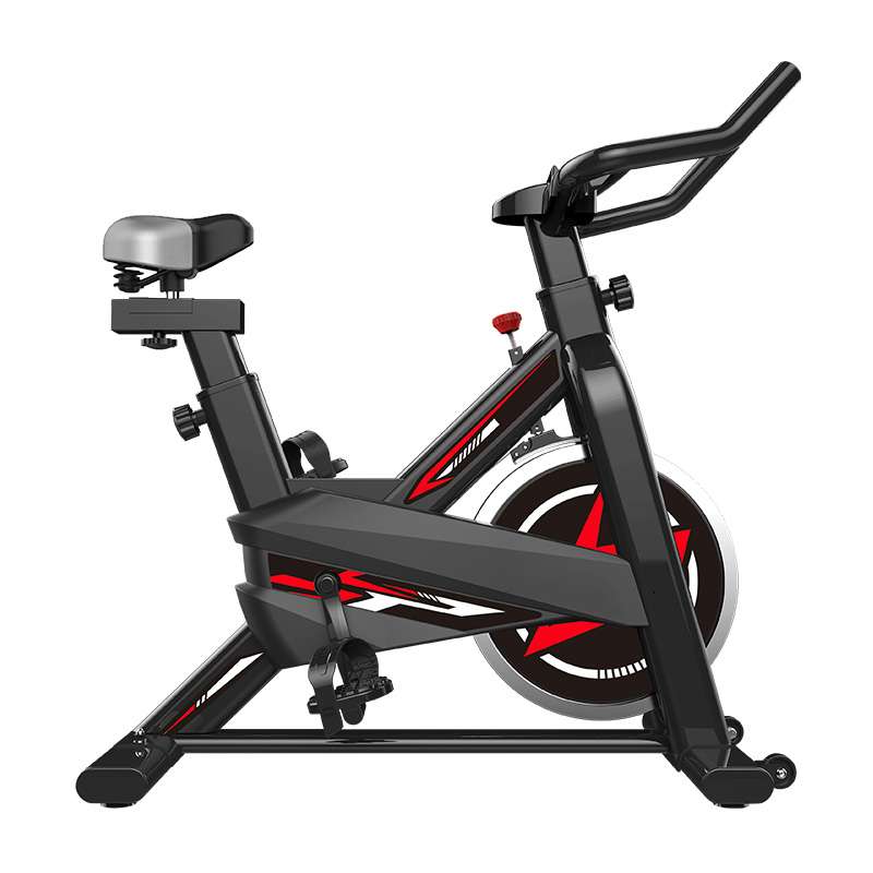 Spinning Bike Stationary Bicycle Cardio Indoor Adjustable Professional ...