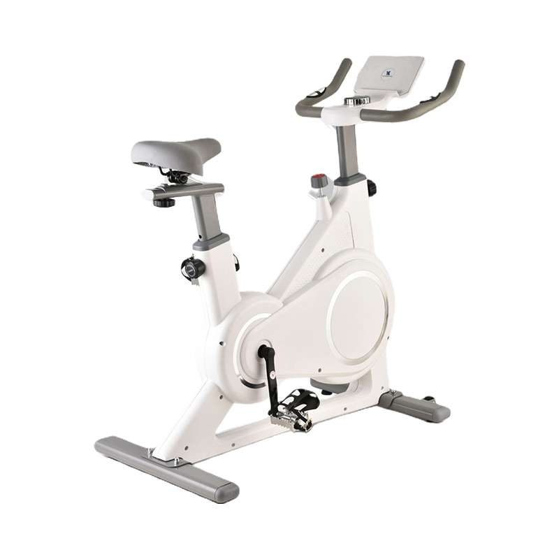 2024 Exercise Bike Home Stable Pedestal Fitness Spining Bicycle Bike Exercise Gym Indoor ...