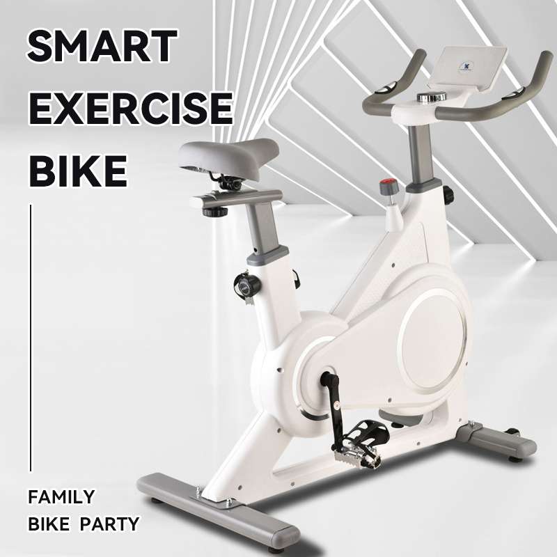 2024 Exercise Bike Home Stable Pedestal Fitness Spining Bicycle Bike Exercise Gym Indoor ...